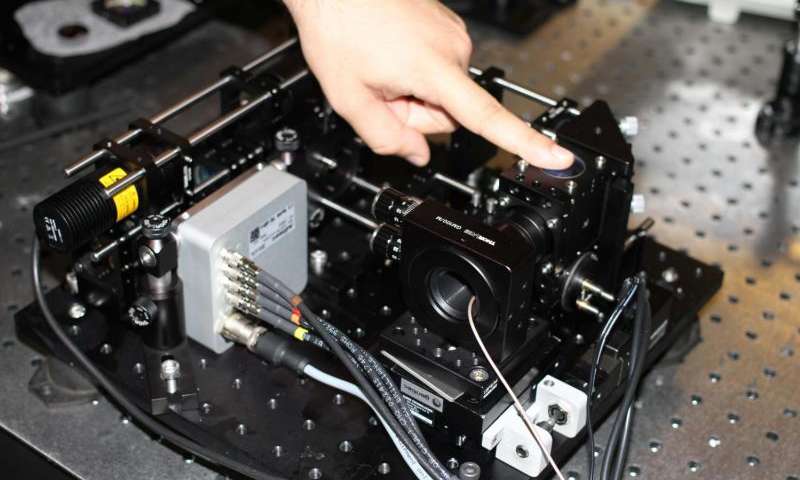 Scientists unveil internal fingerprint system with commercial prospects ...