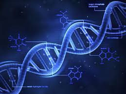 NIST quantifies gene frequency to establish basis for DNA ...