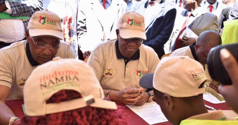 ‘Prone to hacking’: expert witness in Kenya’s Huduma Namba hearings ...